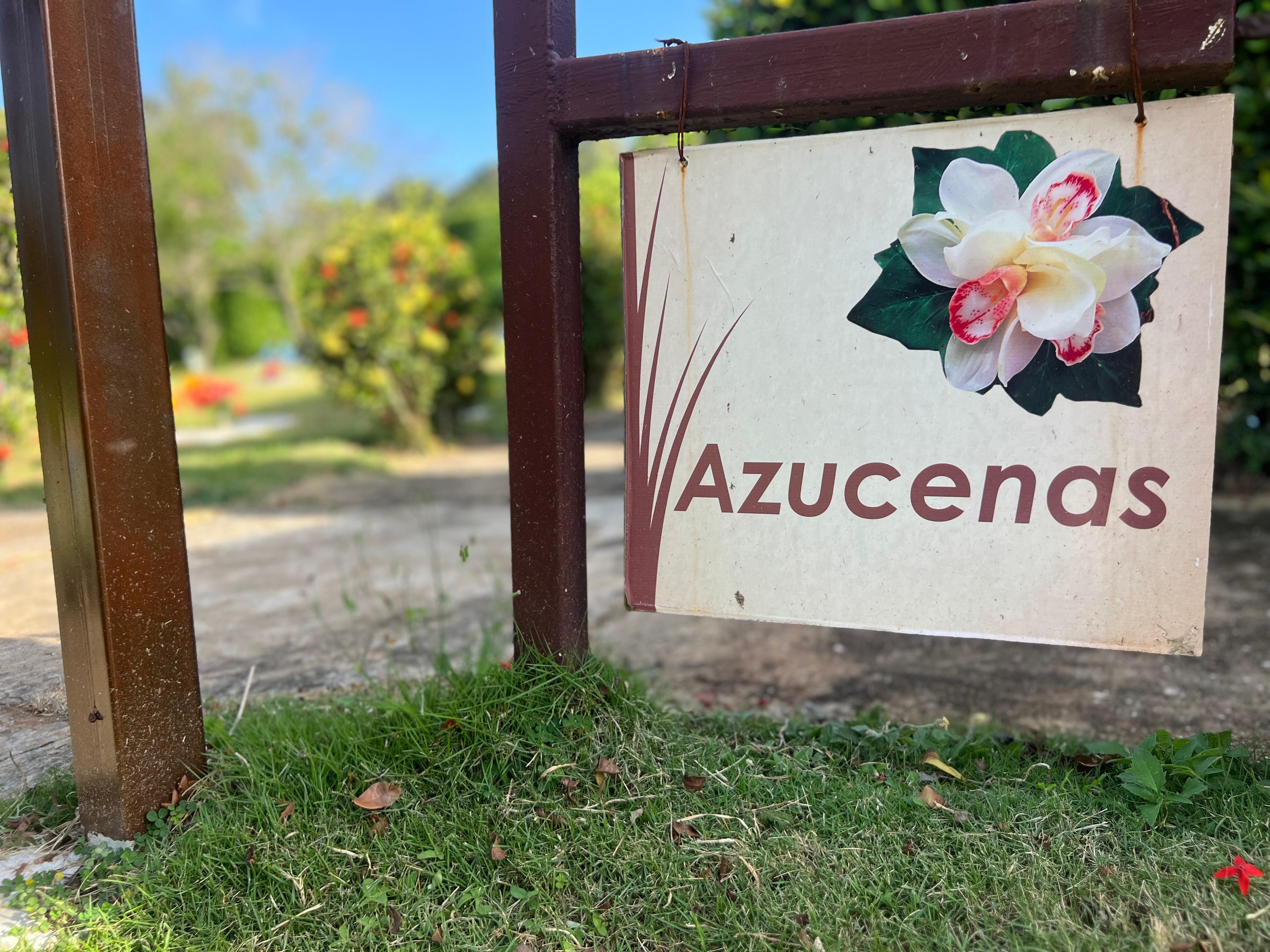 Azucena / Bonsái - Camposanto Parque Memorial Los Guayacanes